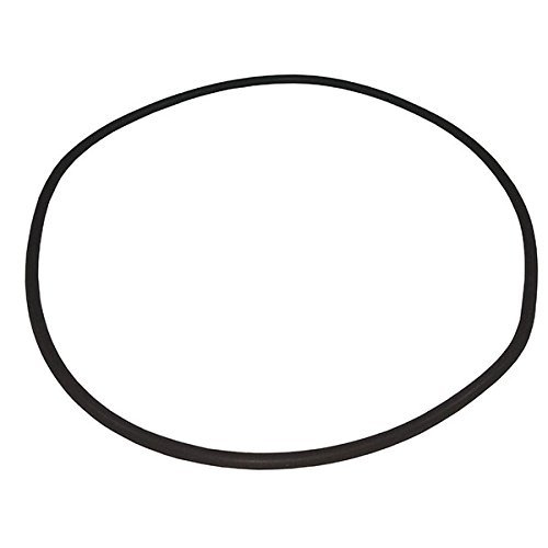 Bucket And Lid O-Ring For BioPress UVC 1600 | Atlantic-Oase